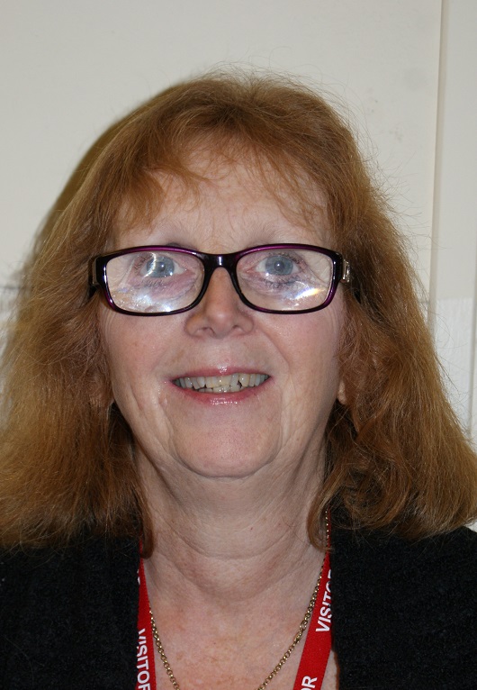 Ulverston Victoria High School - Governors